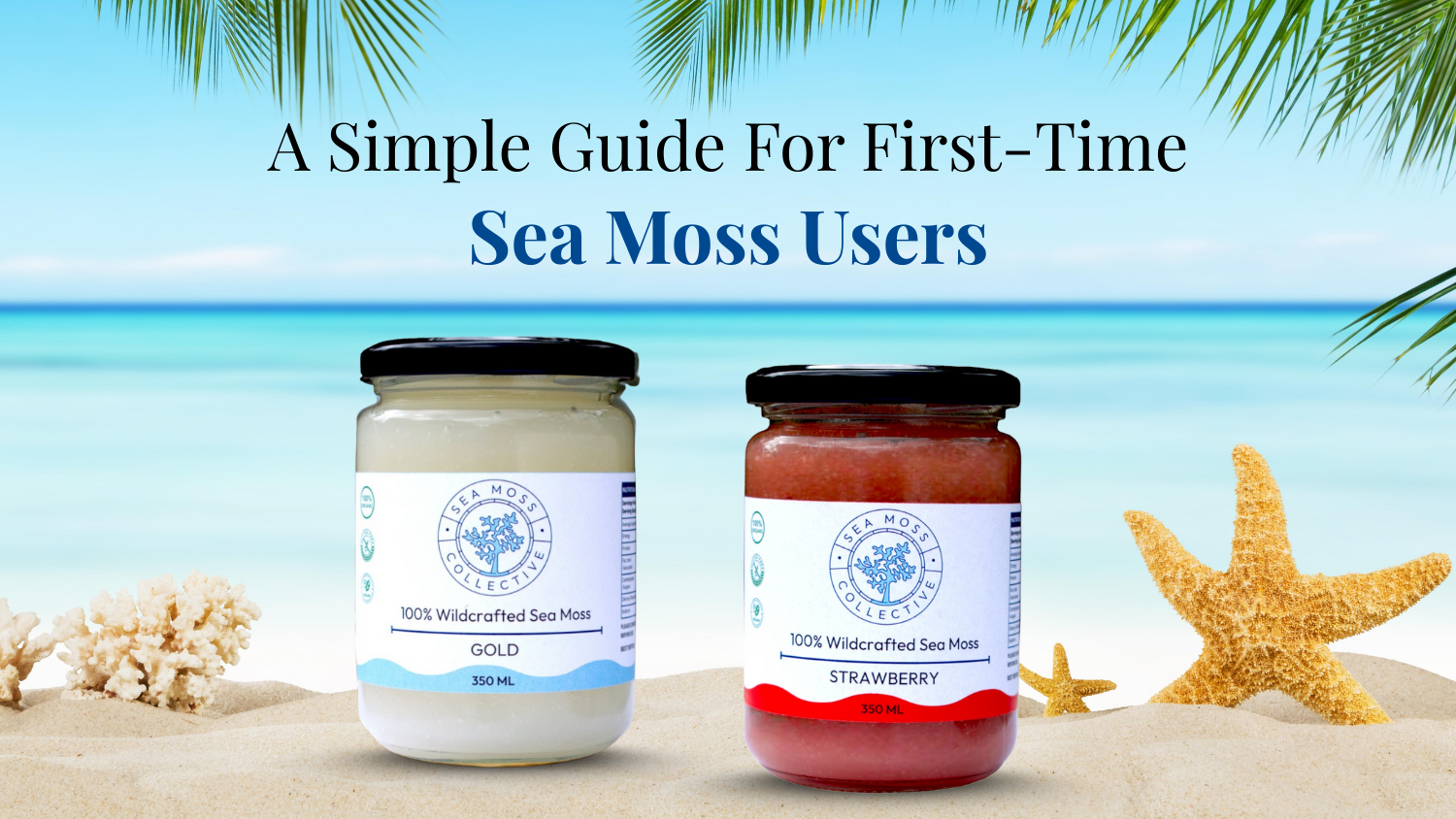 A Simple Guide For First-Time Sea Moss Users – Sea Moss Collective