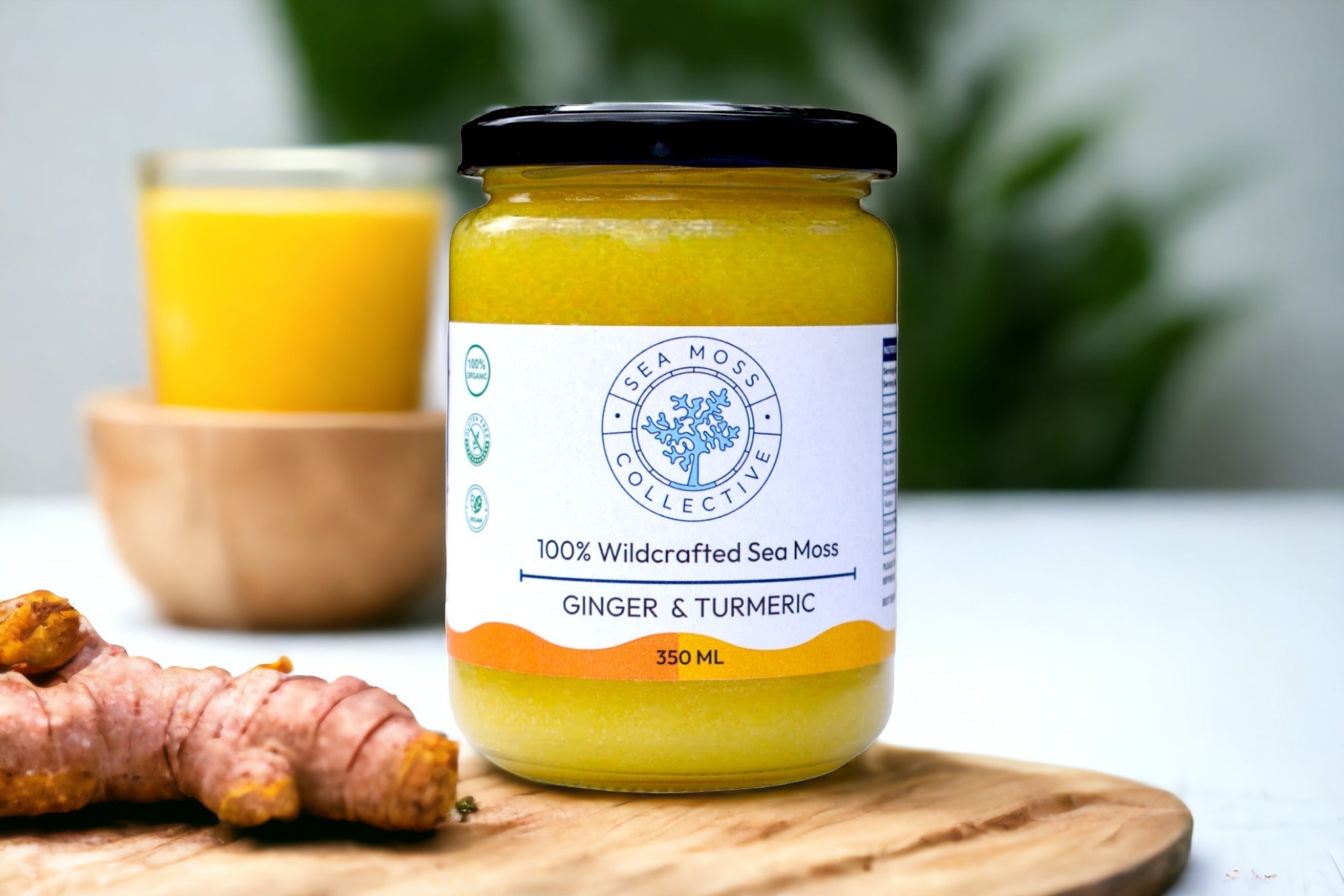 Best Sea Moss Gel in NZ | Sea Moss | Sea Moss NZ -Sea Moss Collective