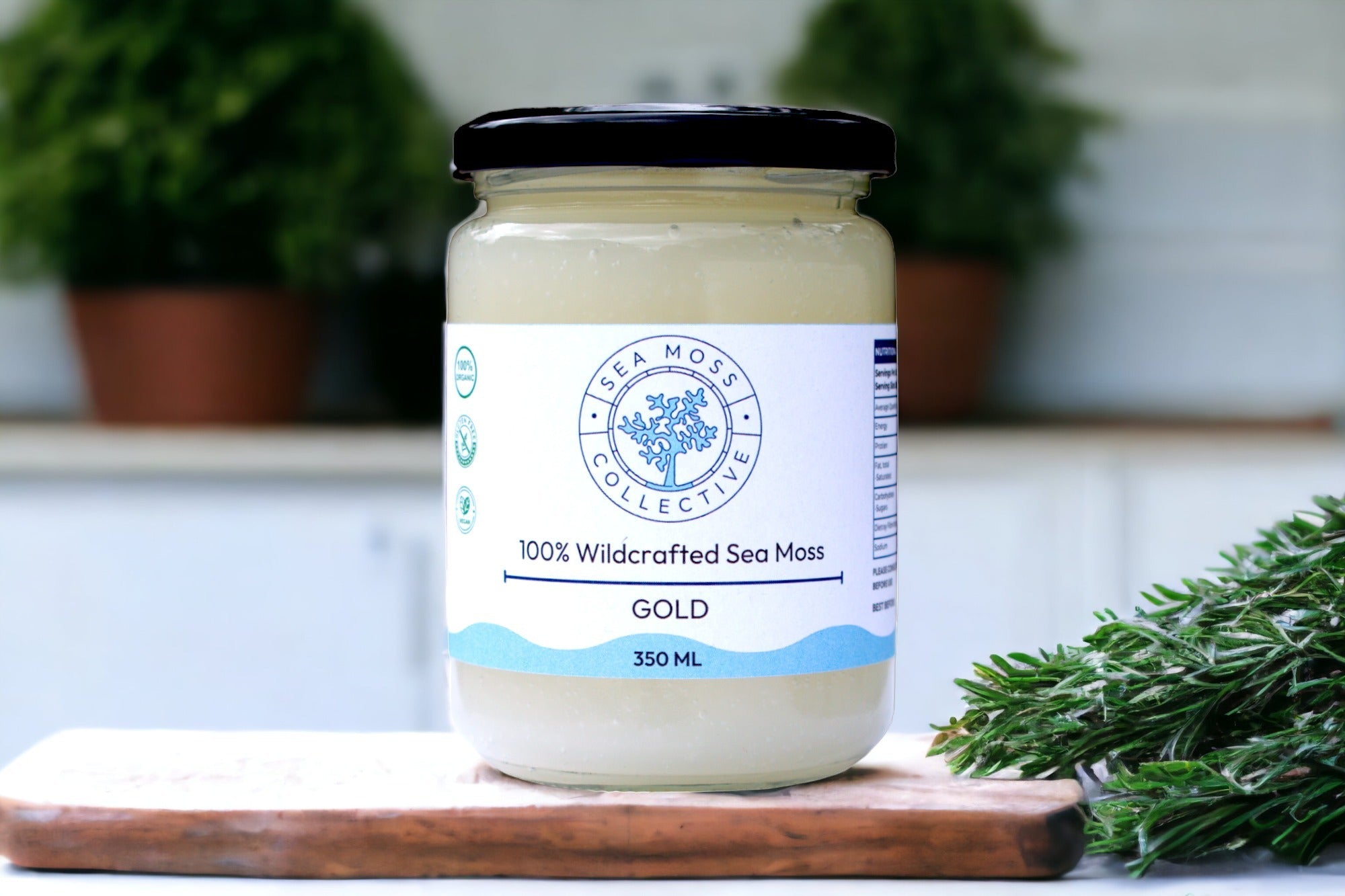 Best Sea Moss Gel in NZ | Sea Moss | Sea Moss NZ -Sea Moss Collective
